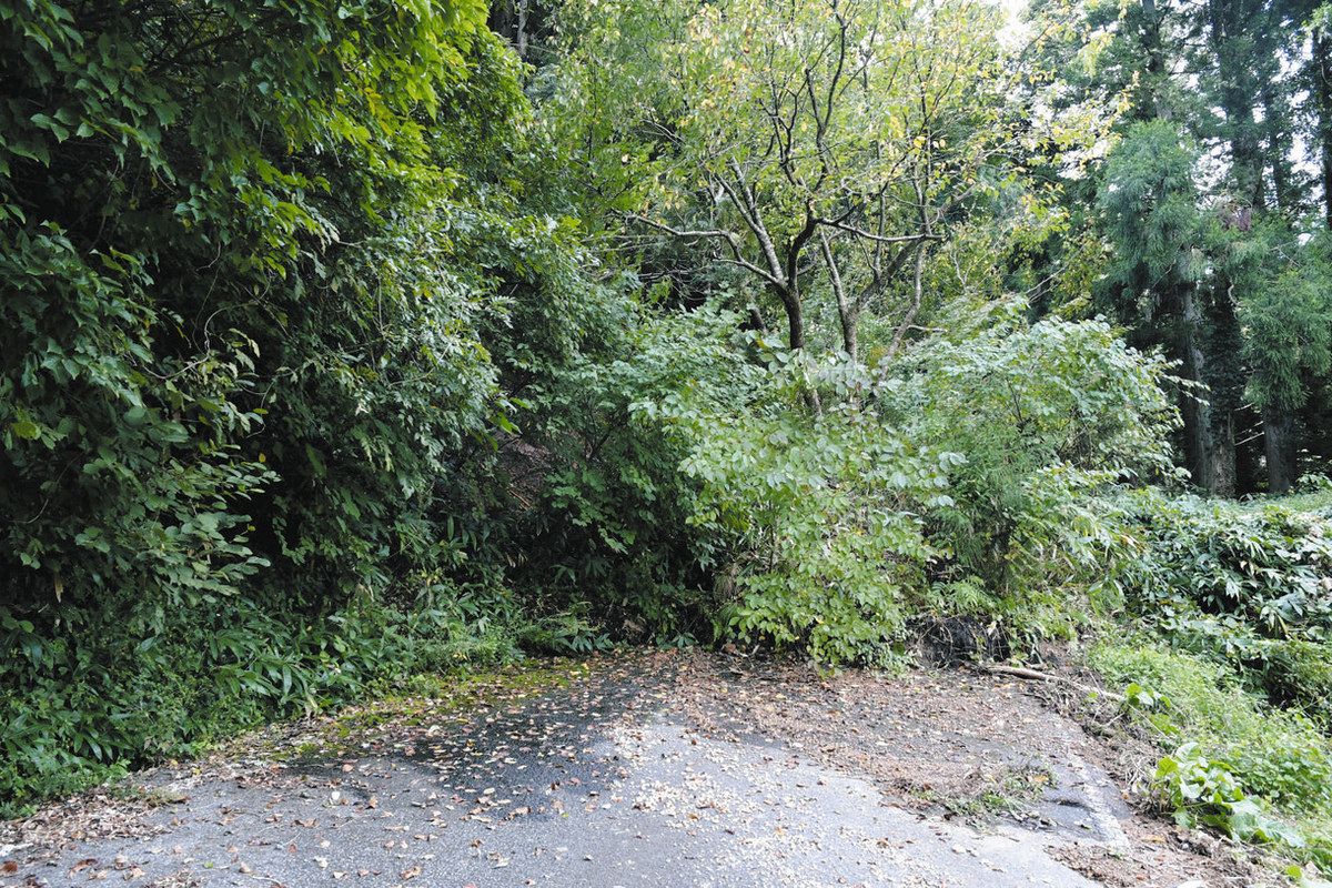 石川農園孤立まだ収穫が 能登町 豪雨で道寸断北陸中日新聞Web
