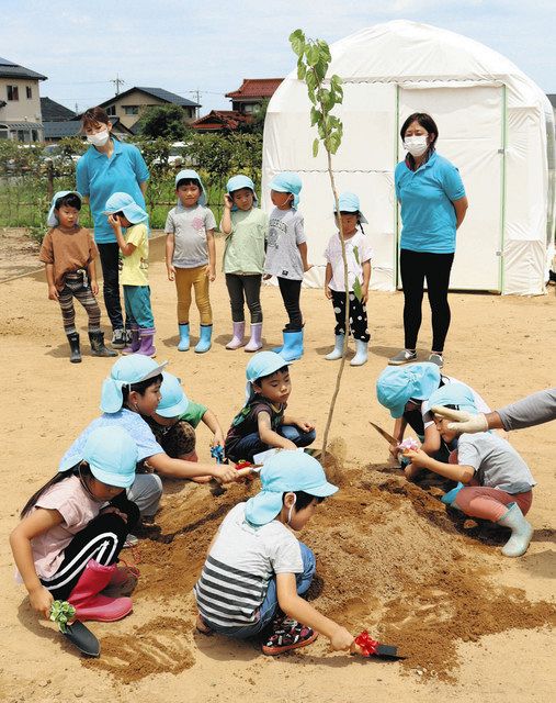 蓮代寺こども園に農園 小松 畑や水田整備完成祝う北陸中日新聞Web