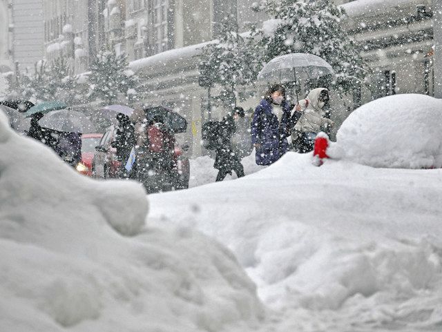 福井市積雪1日で30センチ増 嶺北平野部降雪強まる日刊県民福井Web