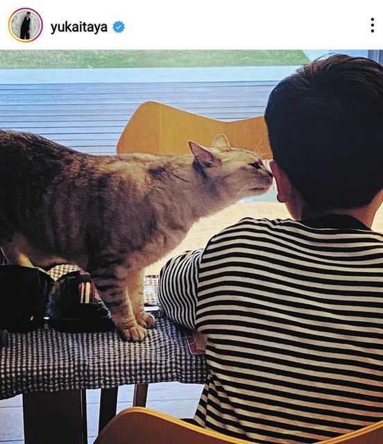 【写真】板谷由夏の次男に“キス”する愛猫メイ:中日スポーツ・東京中日スポーツ