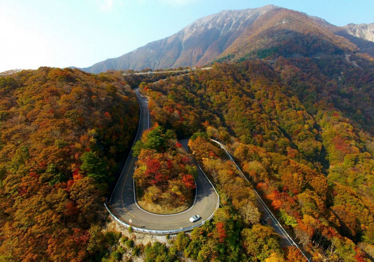 Autumn Foliage at its Best on Mount Ibuki：中日新聞Web