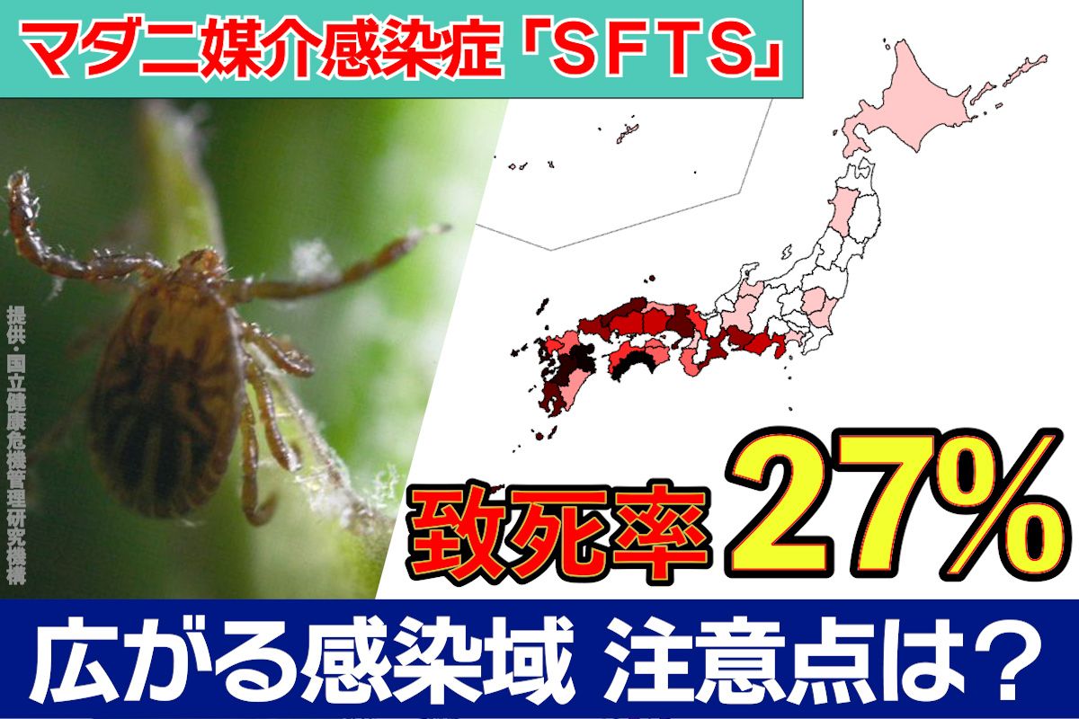 【感染マップ】中部では過去最多の22人 マダニ媒介のSFTSが東へ拡大「国内どこでも注意」：中日新聞Web