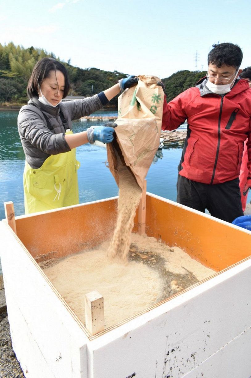 Project to turn pearl oyster shellfish meat used in pearl cultivation ...