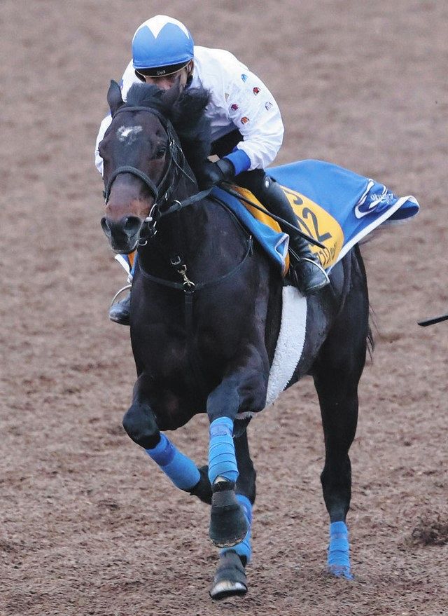 【AJCC】4番人気ノースブリッジが押し切って重賞2勝目 岩田康「G1に一歩踏み出した」：中日スポーツ・東京中日スポーツ