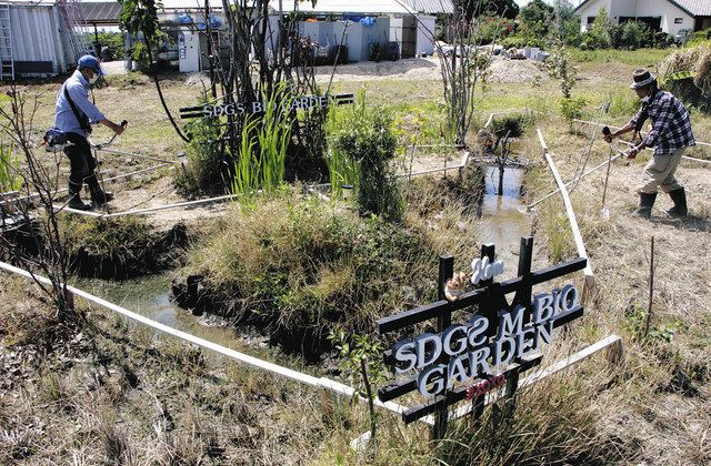 ＜ミカワSDGs＞（46）陸の豊かさも守ろう 西中町のビオトープ造り＝知立：中日新聞Web