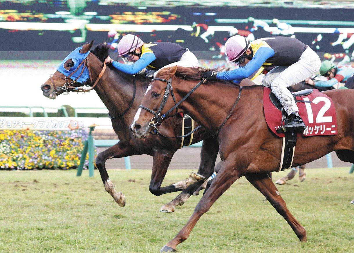 【AJCC】チャックネイト重賞初制覇 ゴール前でボッケリーニを差し返す 1番人気のマイネルウィルトスは5着失速：中日スポーツ・東京中日スポーツ