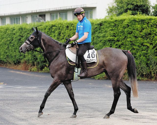 昨年破格のJRAレーコード、紅一点の快速4歳馬テイエムスパーダ、反撃への態勢整う【CBC賞】：中日スポーツ・東京中日スポーツ