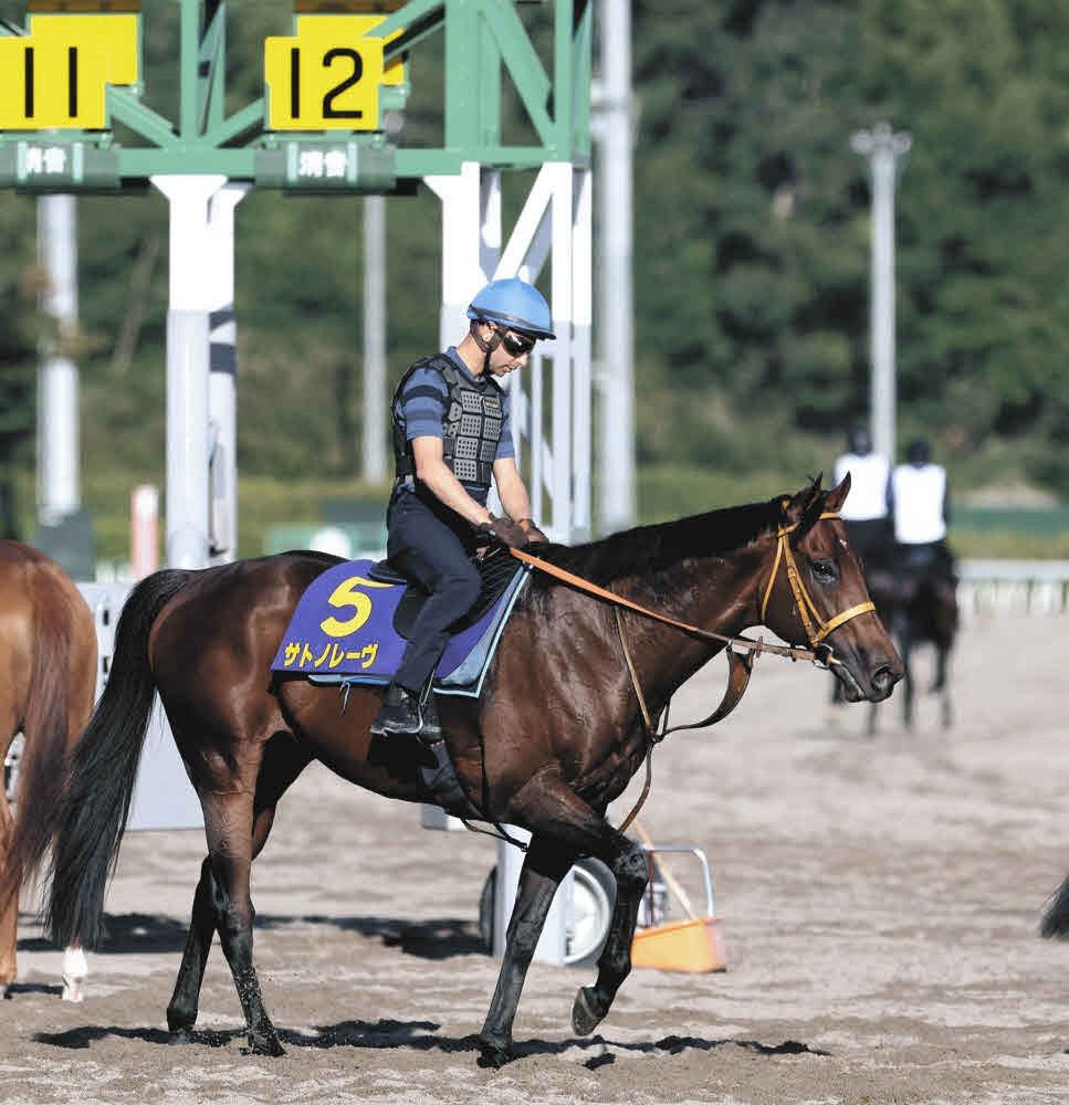 【JRA】42歳になったモレイラがラストウイークで土日15鞍に騎乗 スプリンターズSは近4戦馬券内100％と手の内に入れたサトノレーヴに注目：中日スポーツ・東京中日スポーツ