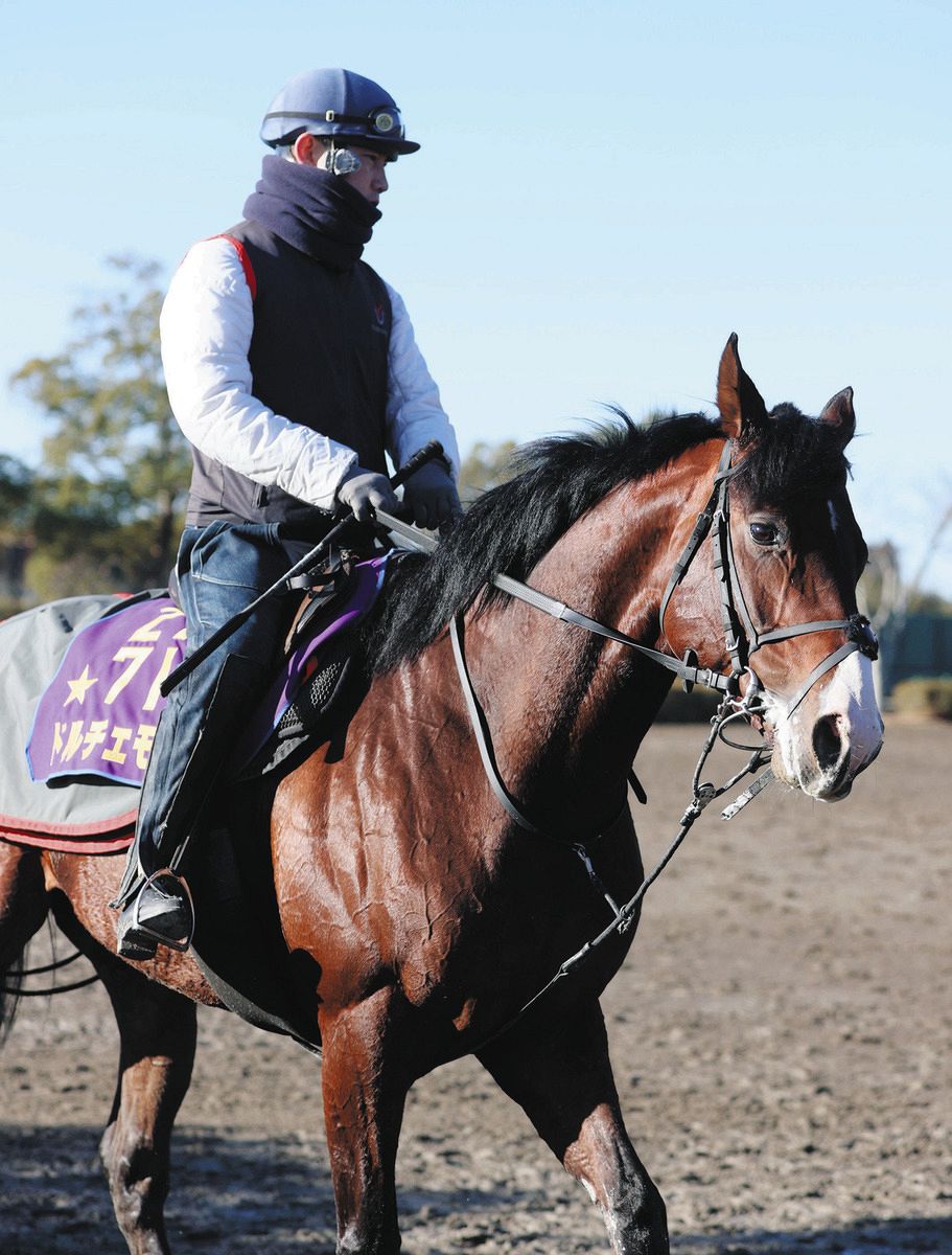 朝日杯FSなどを制覇したドルチェモア、大井へ移籍、22年JRA賞最優秀2歳牡馬に輝くもその後はスランプに：中日スポーツ・東京中日スポーツ