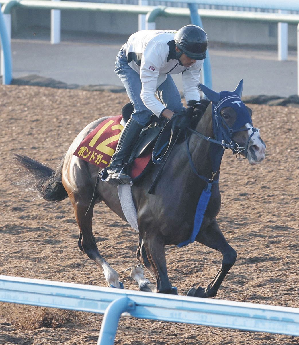 【秋華賞1週前】ボンドガール、ラストは時間かかるも、全体時計は6F82秒7にまとめる「問題はないよ」と手塚師：中日スポーツ・東京中日スポーツ