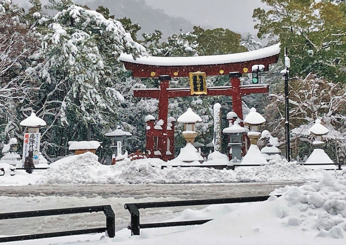 嶺南に雪 「歩くのも大変」 「いきなり一気に降った」 ：日刊県民福井Web