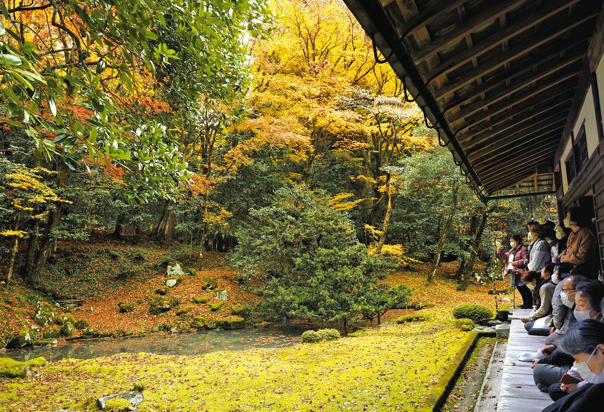 Bokep artis indnesia