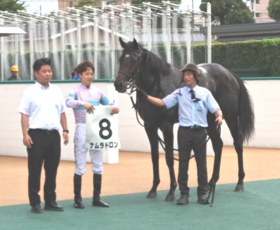 【小倉5R新馬】新種牡馬ダノンスマッシュ産駒がJRA初勝利 2番人気のナムラドロンが力強く伸びる、松山「強い競馬をしてくれた」：中日スポーツ・東京中日スポーツ