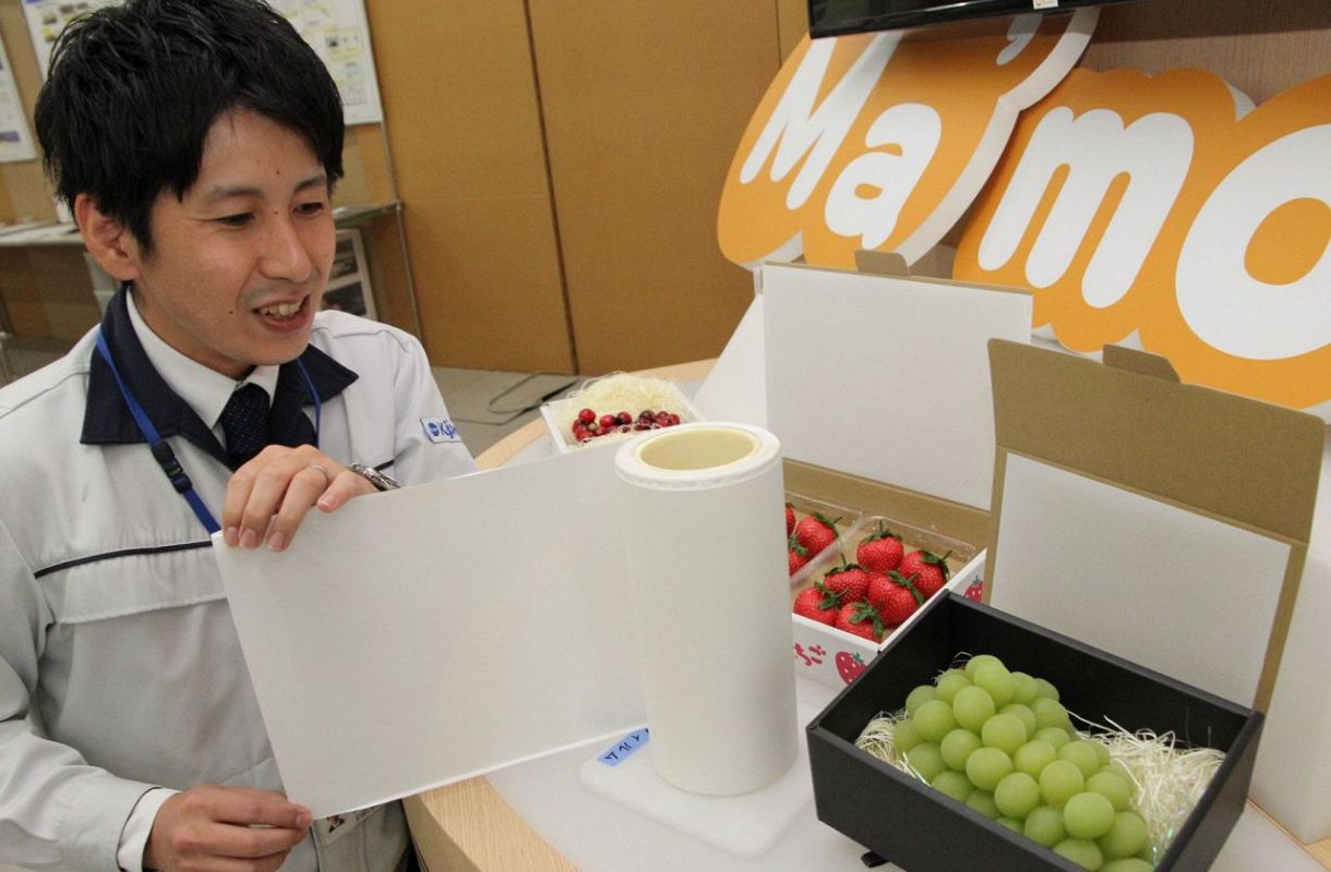 Mold-Proof Sheet Prevents Fruits from Rotting Even After 4 Months：中日新聞Web