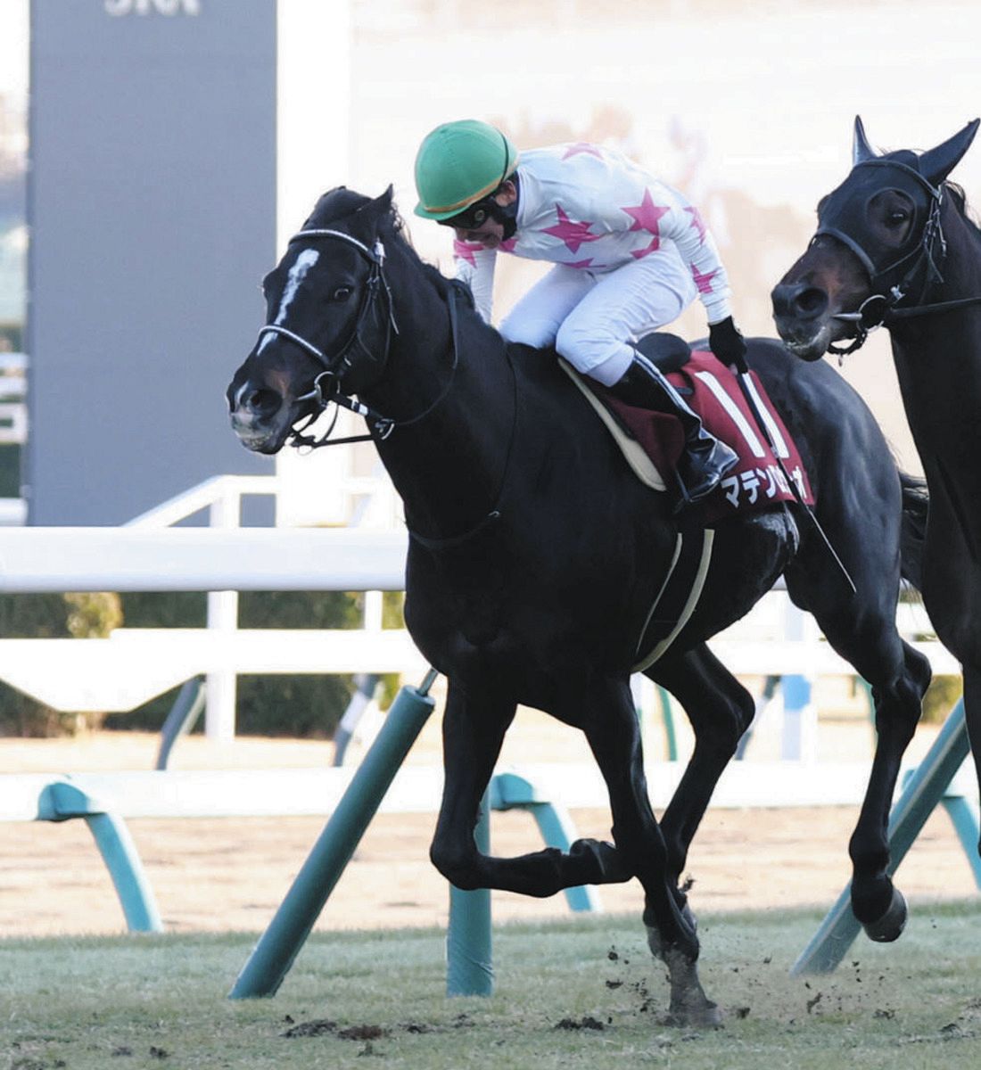 【AJCC】2着争いを制したマテンロウレオ 昆師「ダービー馬に負けたのだから仕方ない」：中日スポーツ・東京中日スポーツ