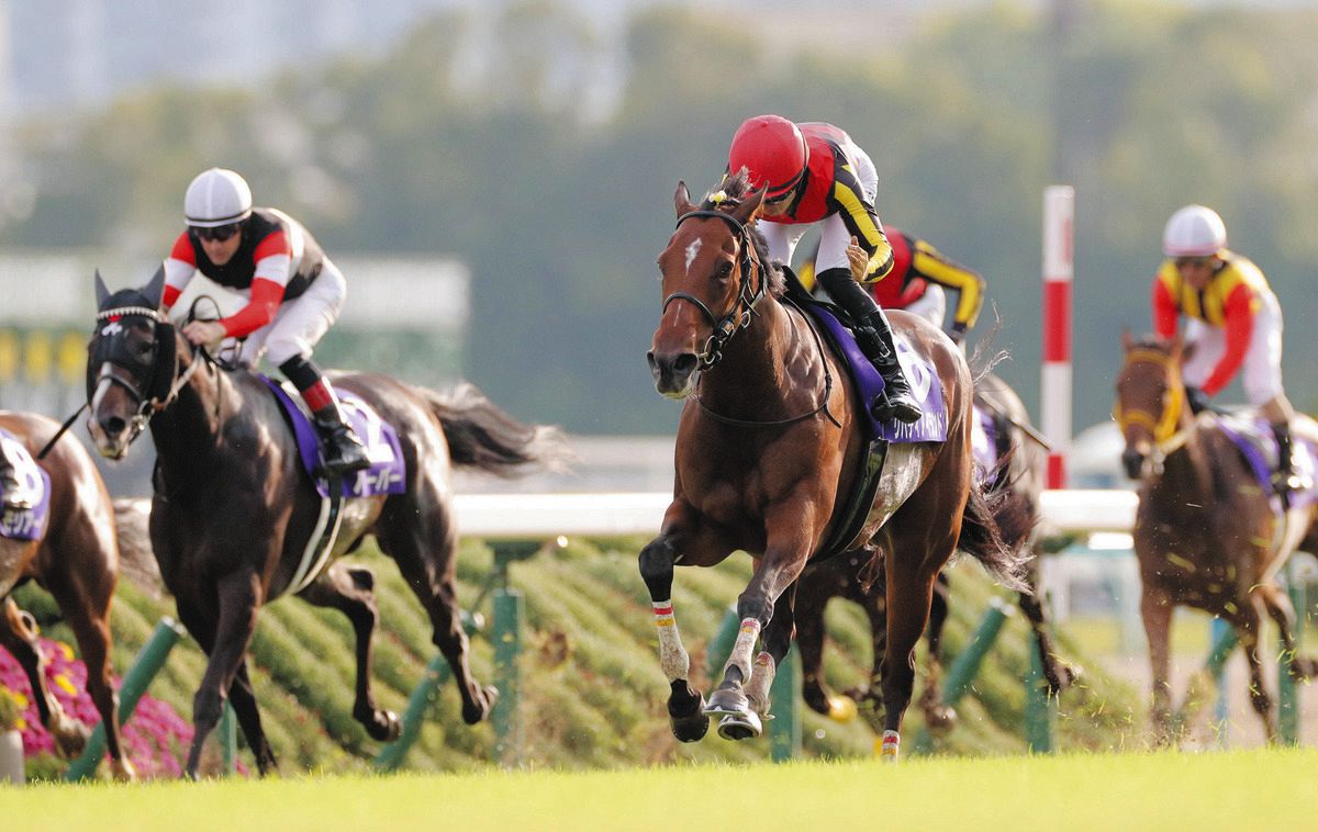 JRAが2024年の日程発表 開幕は1月6日 宝塚記念、阪神JF、朝日杯FSは京都で開催：中日スポーツ・東京中日スポーツ