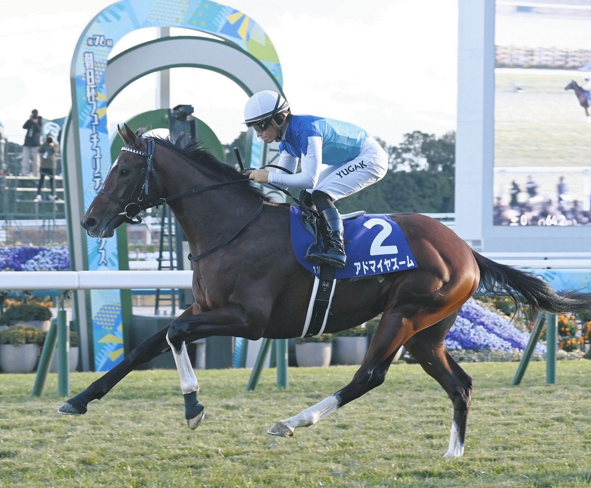 【ニュージーランドT展望】朝日杯FS覇者アドマイヤズーム、休養明けも乗り込み豊富、モレイラ騎乗プリティディーヴァも素質十分：中日スポーツ・東京 ...