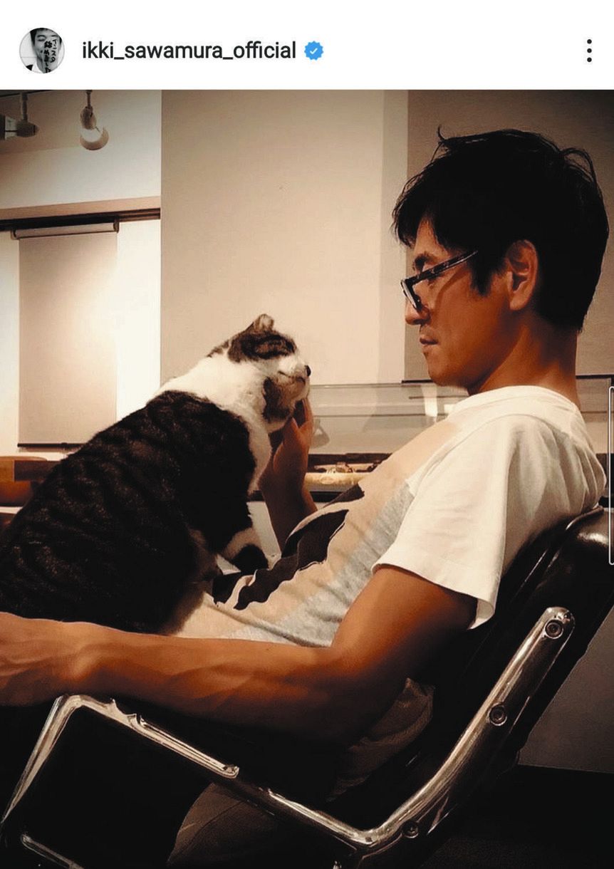 【写真】沢村一樹、愛猫亡くなる:中日スポーツ・東京中日スポーツ