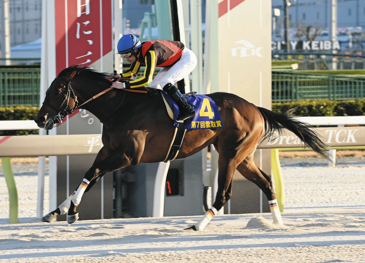 【羽田盃・Jpn1 展望】雲取賞完勝のジャナドリアがV最短！ 非凡な才能のナチュラルライズが強敵：中日スポーツ・東京中日スポーツ