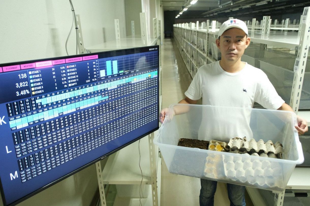 Automating Edible Cricket Farming：中日新聞Web