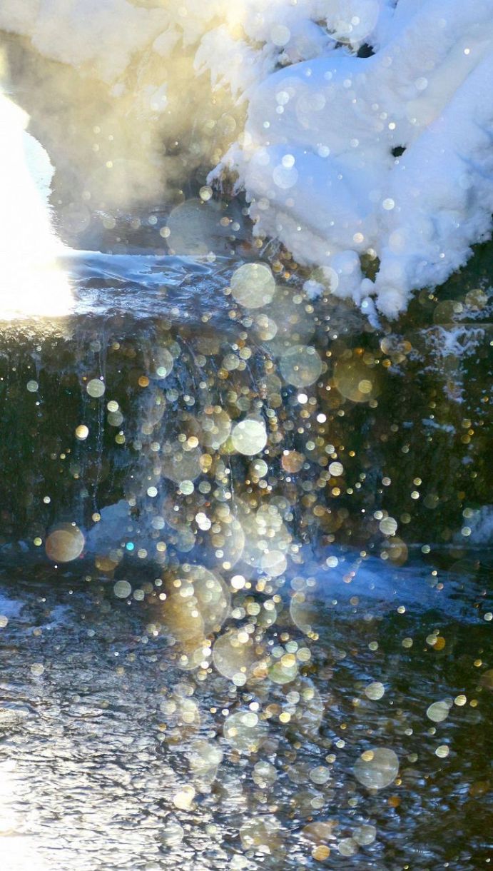 Diamond Dust Phenomenon Photographed in Gifu Prefecture：中日新聞Web