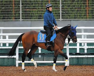 【YJS】地方、JRAの若手16騎手が腕を競う『2025ヤングジョッキーズシリーズ ファイナルラウンド』の実施概要決定：中日スポーツ・東京中日スポーツ