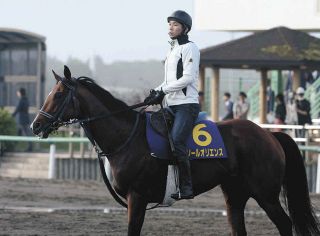 【YJS】地方、JRAの若手16騎手が腕を競う『2025ヤングジョッキーズシリーズ ファイナルラウンド』の実施概要決定：中日スポーツ・東京中日スポーツ