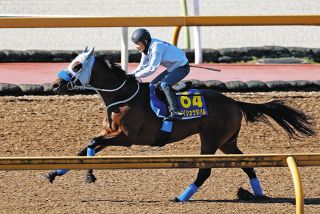 【YJS】地方、JRAの若手16騎手が腕を競う『2025ヤングジョッキーズシリーズ ファイナルラウンド』の実施概要決定：中日スポーツ・東京中日スポーツ